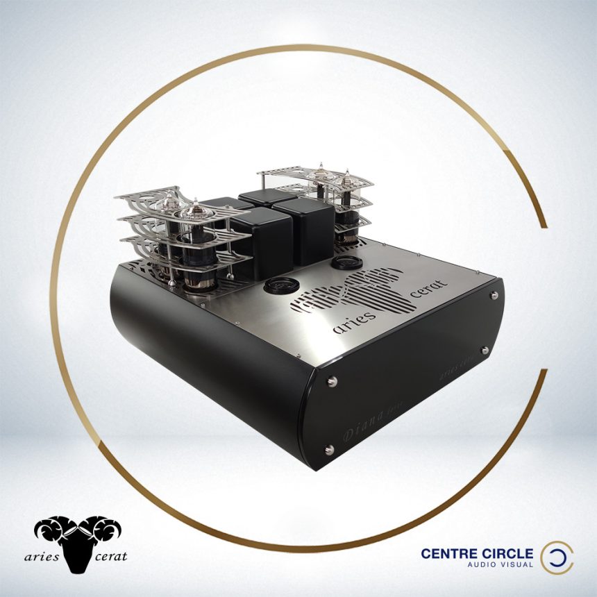 Diana Forte Power Amplifier – Hi Fi System | Hifi Speaker system | Home ...
