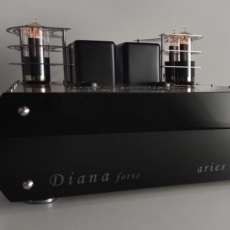 Diana Forte Power Amplifier – Hi Fi System | Hifi Speaker system | Home ...