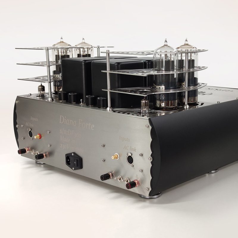 Diana Forte Power Amplifier – Hi Fi System | Hifi Speaker system | Home ...